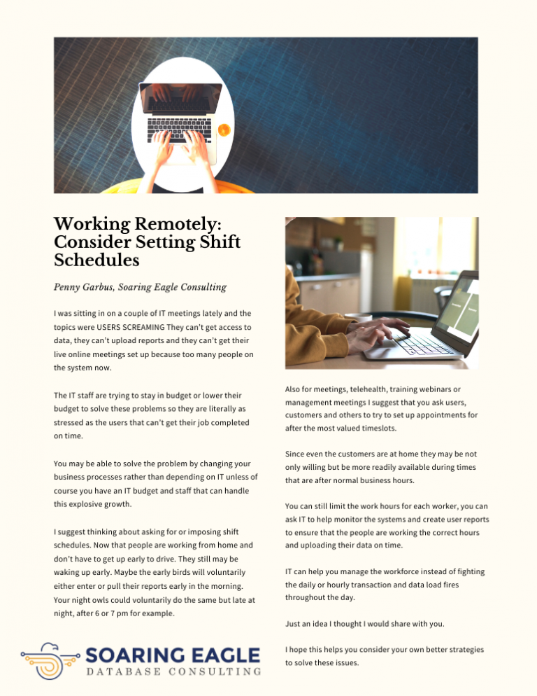 Working Remotely | Soaring Eagle Data Solutions