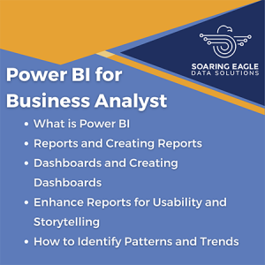 Florida Power BI Services | Soaring Eagle Data Solutions