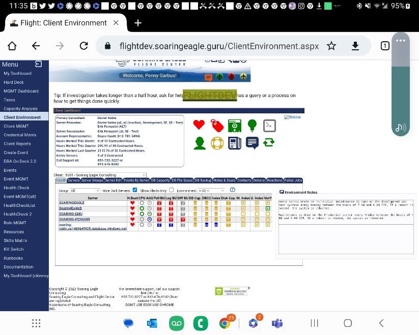 SQL Sentry and Soaring Eagle's FLIGHT to Manage your Databases | Soaring Eagle Data Solutions