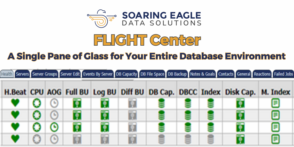 Database Monitoring Services | Soaring Eagle Data Solutions